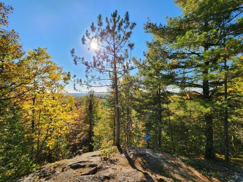 Best Hikes and Trails in Grand-Remous | AllTrails