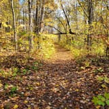 Joyce Estate Trail, Minnesota - 35 Reviews, Map | AllTrails
