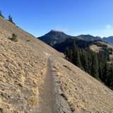 Sunrise Ridge Trail to Klahhane Ridge, Washington - 522 Reviews, Map ...