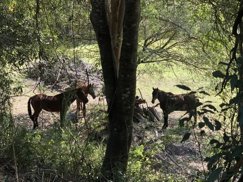 Best Hikes and Trails in Yugar | AllTrails