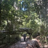 Cooloola Great Walk: Segment 5, Queensland, Australia - 91 Reviews, Map ...