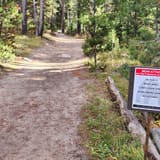 String Lake Trail, Wyoming - 1,990 Reviews, Map | AllTrails