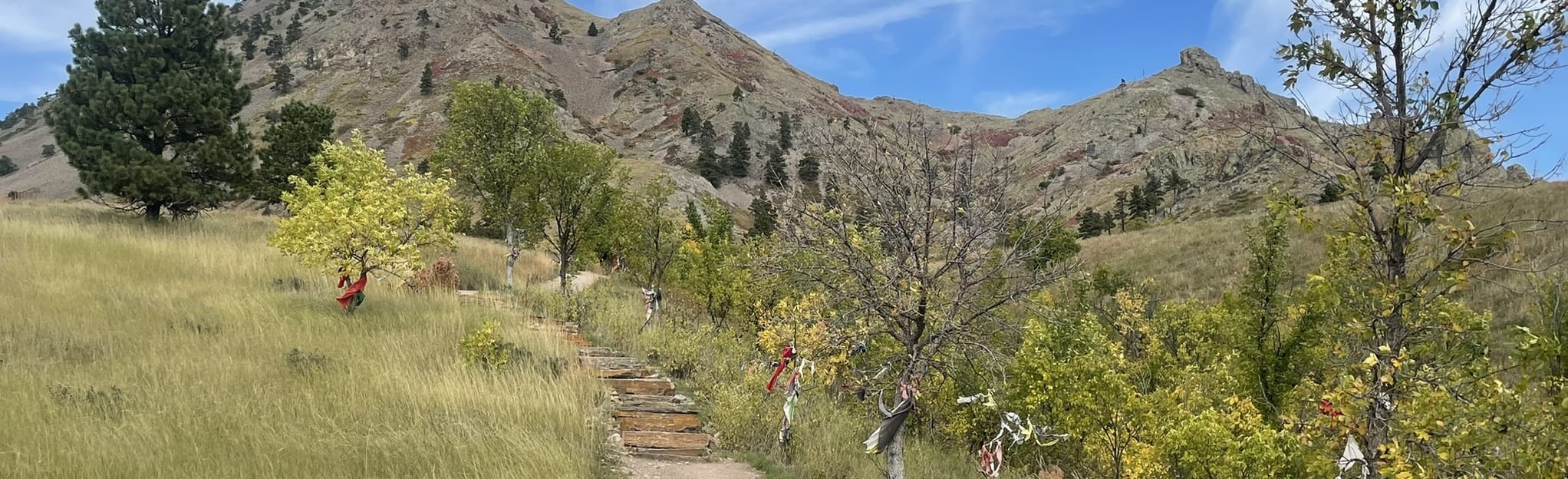 Bear Butte, South Dakota - 699 Reviews, Map | AllTrails