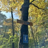 Whitestone Cliffs Trail, Connecticut - 585 Reviews, Map | AllTrails