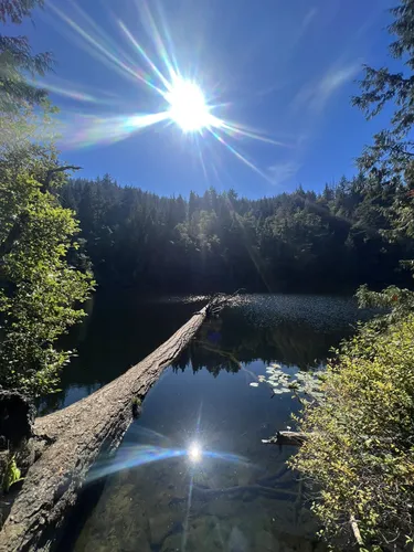 10 Best Trails and Hikes in Bellingham | AllTrails
