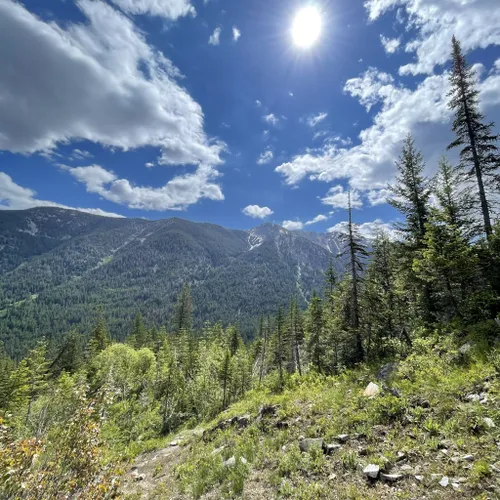 Best Camping Trails in Lostine | AllTrails