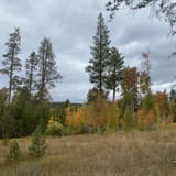 Sagehen Creek Loop, California - 852 Reviews, Map | AllTrails