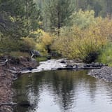 Sagehen Creek Loop, California - 852 Reviews, Map | AllTrails