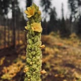 Sage Hen Reservoir Trail, Idaho - 55 Reviews, Map | AllTrails