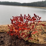 Sage Hen Reservoir Trail, Idaho - 55 Reviews, Map | AllTrails