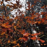 Sage Hen Reservoir Trail, Idaho - 55 Reviews, Map | AllTrails