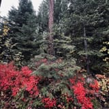 Sage Hen Reservoir Trail, Idaho - 55 Reviews, Map | AllTrails