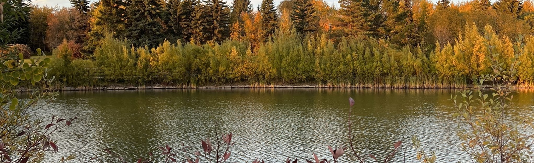 Sturgeon River - Lacombe Lake, Alberta, Canada - 82 Reviews, Map ...