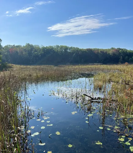 2023 Best Camping Trails in Pinckney Recreation Area | AllTrails