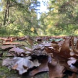 The '400' State Trail, Wisconsin - 144 Reviews, Map | AllTrails