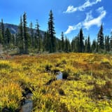 Gray Butte Trail, California - 203 Reviews, Map | AllTrails
