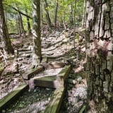 Bash Bish Falls Trail, Massachusetts - 1,092 Reviews, Map | AllTrails