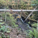 Mima Falls East Trail, Washington - 1,701 Reviews, Map | AllTrails
