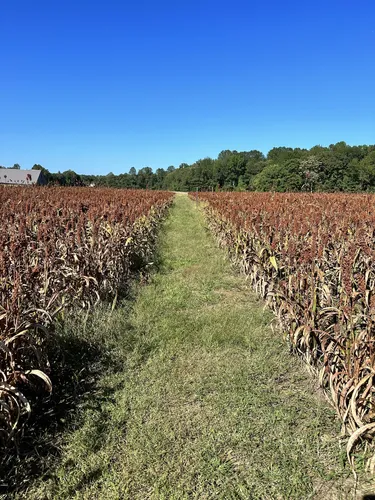10 Best Hikes and Trails in American Chestnut Land Trust | AllTrails