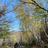 Pembina Rim Trail, Manitoba, Canada - 373 Reviews, Map | AllTrails