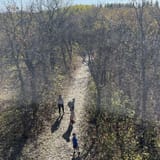 Pembina Rim Trail, Manitoba, Canada - 373 Reviews, Map | AllTrails