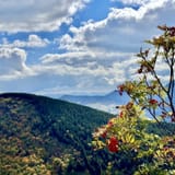 Sam Knob Trail, North Carolina - 1,249 Reviews, Map | AllTrails