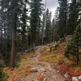 Crag Crest National Recreation Trail, Colorado - 856 Reviews, Map ...