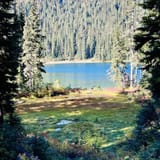 Dewey Lake Trail, Washington - 388 Reviews, Map | AllTrails