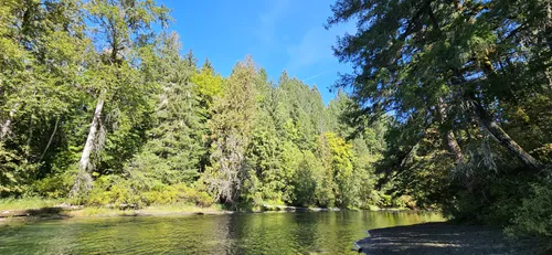 Best Hikes and Trails in Cowichan River Provincial Park | AllTrails