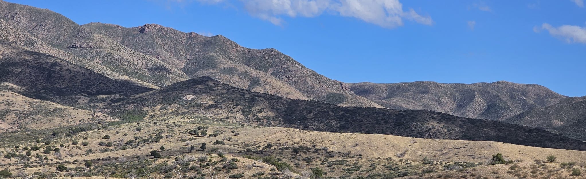 Boulder Creek Trail, Arizona - 8 Reviews, Map | AllTrails