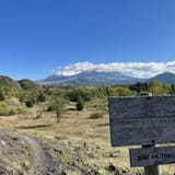 Hummocks Trail, Washington - 943 Reviews, Map | AllTrails