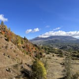 Hummocks Trail, Washington - 943 Reviews, Map | AllTrails