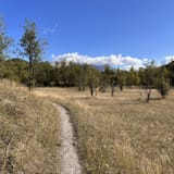 Hummocks Trail, Washington - 943 Reviews, Map | AllTrails