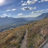 Hummocks Trail, Washington - 943 Reviews, Map | AllTrails