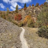 Hummocks Trail, Washington - 943 Reviews, Map | AllTrails