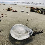 Keeha Beach via Cape Beale-Keeha Trailhead, British Columbia, Canada ...