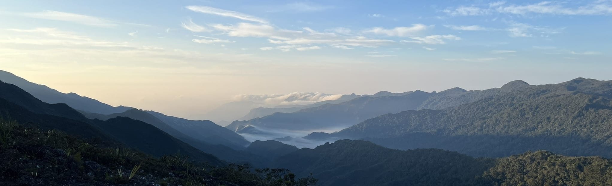 Mount Tahan via Merapoh, Pahang, Malaysia - 8 Reviews, Map | AllTrails