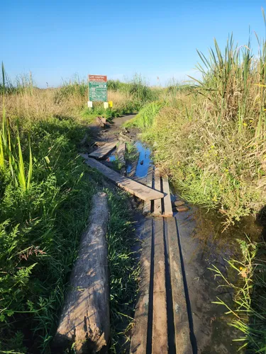 Best Hikes and Trails in Little River State Beach | AllTrails