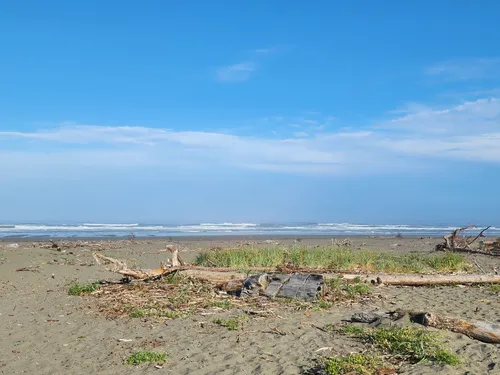 Best Hikes and Trails in Little River State Beach | AllTrails