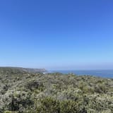 Fingal Beach Walk, Victoria, Australia - 84 Reviews, Map | AllTrails