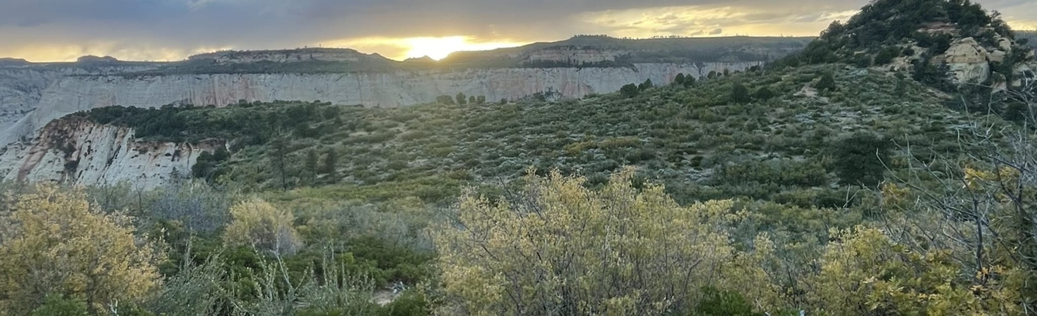 Observation Point via East Mesa Trail, Utah - 5,462 Reviews, Map ...