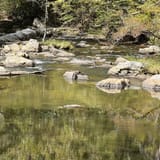 Laurel River Trail, North Carolina - 1,310 Reviews, Map | AllTrails