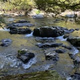 Laurel River Trail, North Carolina - 1,310 Reviews, Map | AllTrails