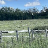 Finchampstead Ridges and Blackwater Valley Circular, Berkshire, England ...