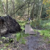 Finchampstead Ridges and Blackwater Valley Circular, Berkshire, England ...