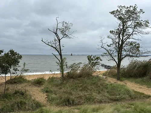 Best Hikes and Trails in Sandy Point State Park | AllTrails