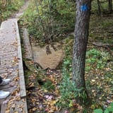 Jordan Valley Pathway, Michigan - 648 Reviews, Map | AllTrails