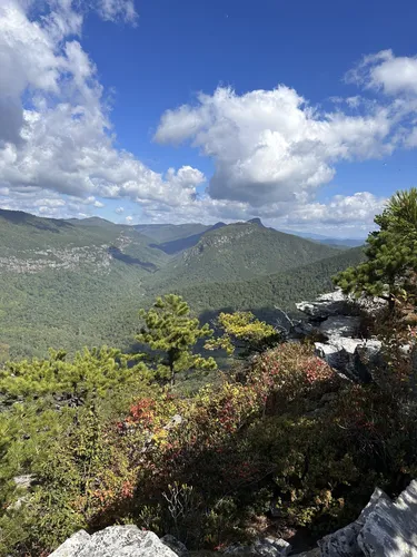 Best Backpacking Trails in Linville Gorge Wilderness | AllTrails