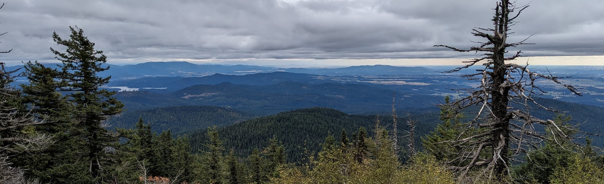 Mount Kit Carson Trail, Washington - 810 Reviews, Map | AllTrails