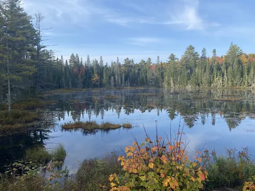 10 Best Hikes and Trails in Algonquin Provincial Park | AllTrails